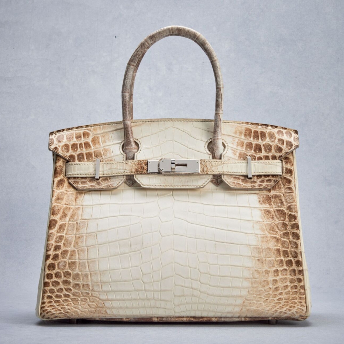 Hierarki Tas Hermès: Dari Entry-Level hingga Kolektor Sejati - edit ...